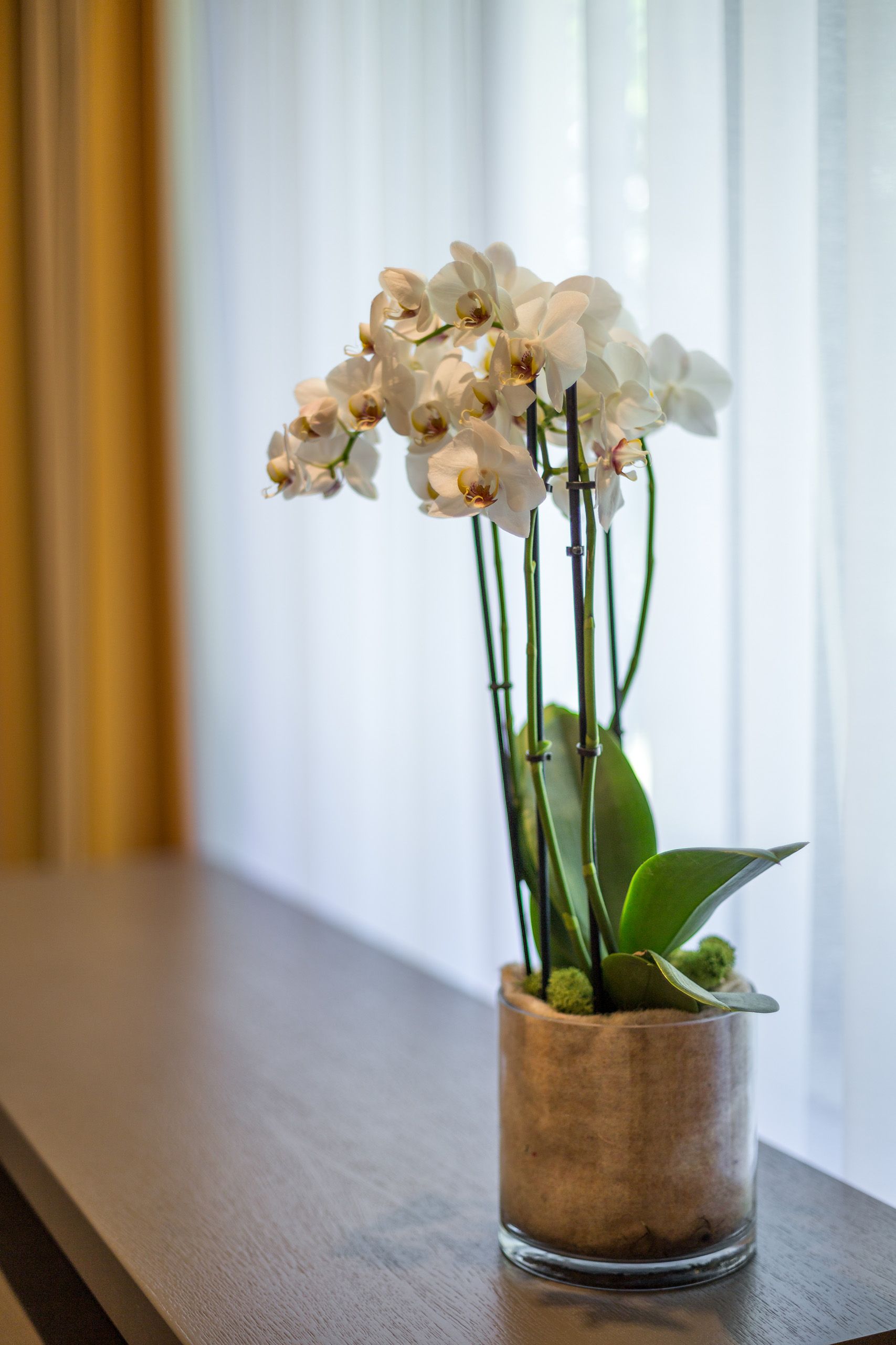 Galerie | Parkhotel Hohenfeld
