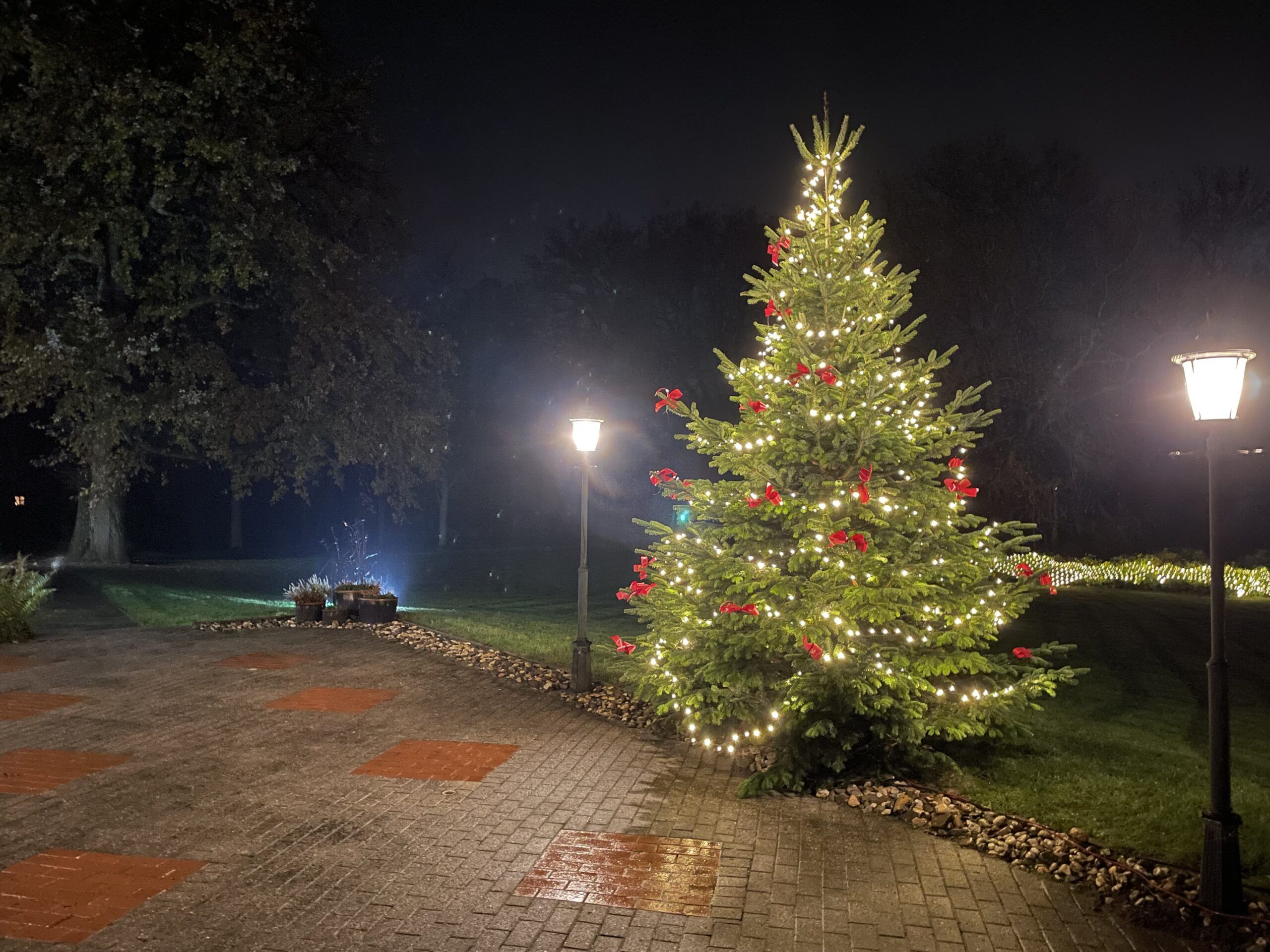 Galerie | Parkhotel Hohenfeld